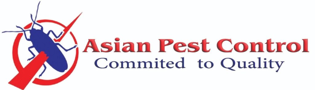 Pest Control Dubai - Best Price & Quality - Pest Control Treatment